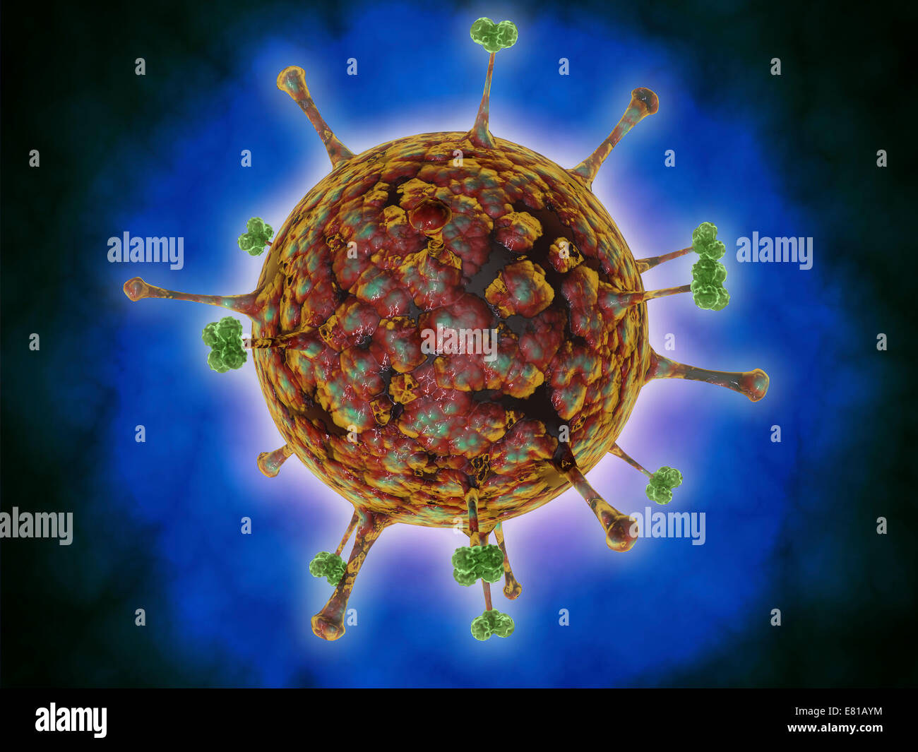 Circolo respiratorio immagini e fotografie stock ad alta risoluzione ...