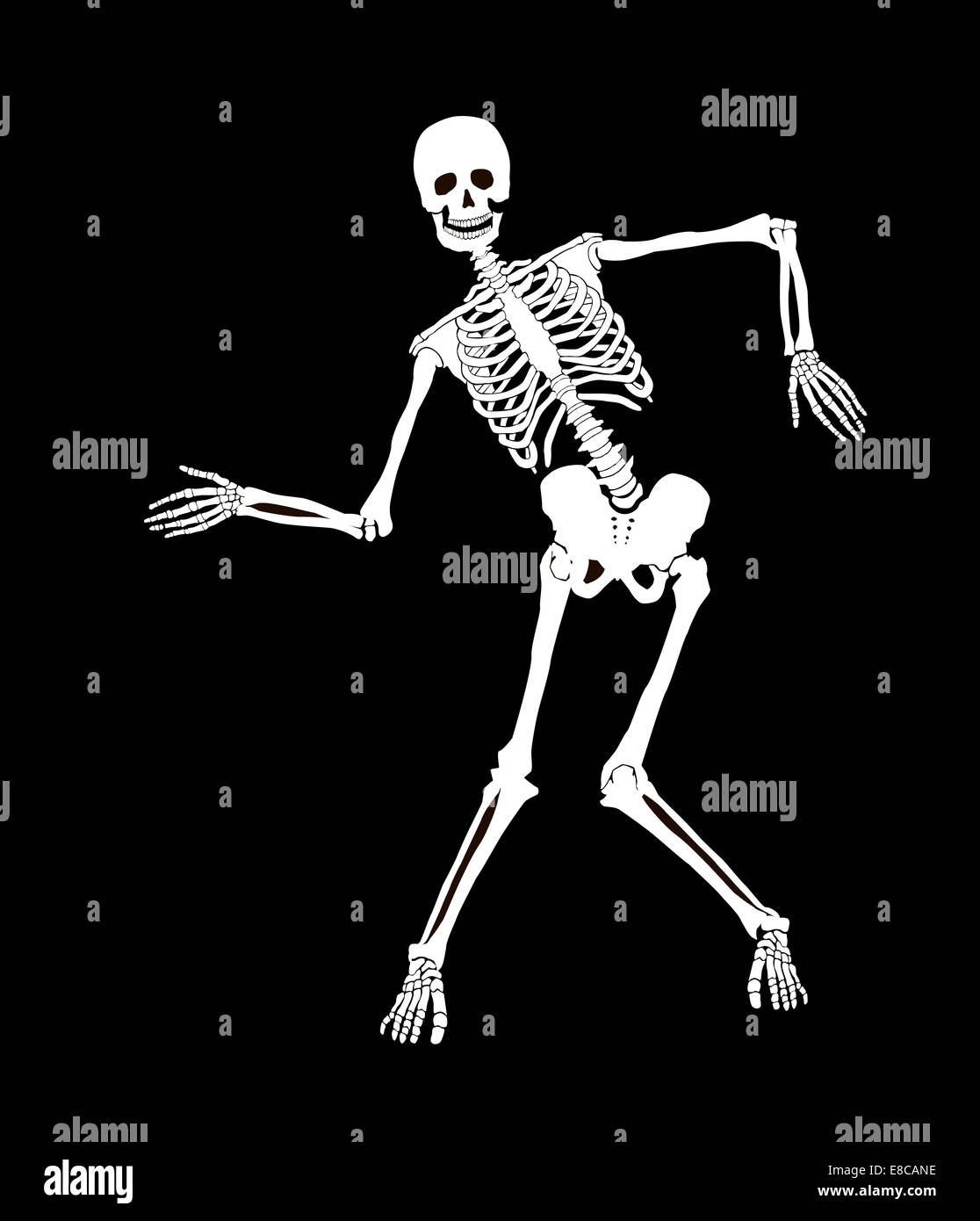 Scheletro di posa immagini e fotografie stock ad alta risoluzione - Alamy