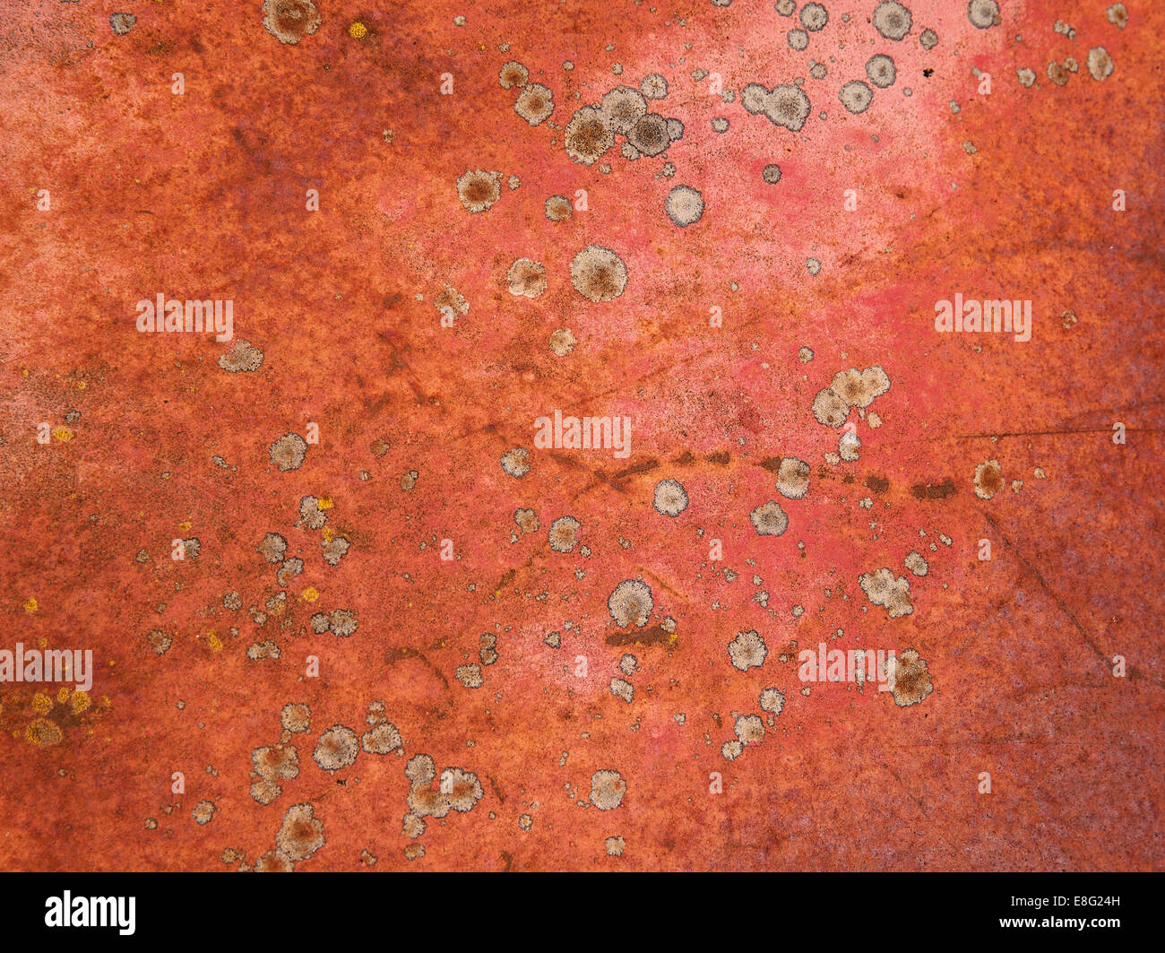 Macchie di licheni immagini e fotografie stock ad alta risoluzione - Alamy