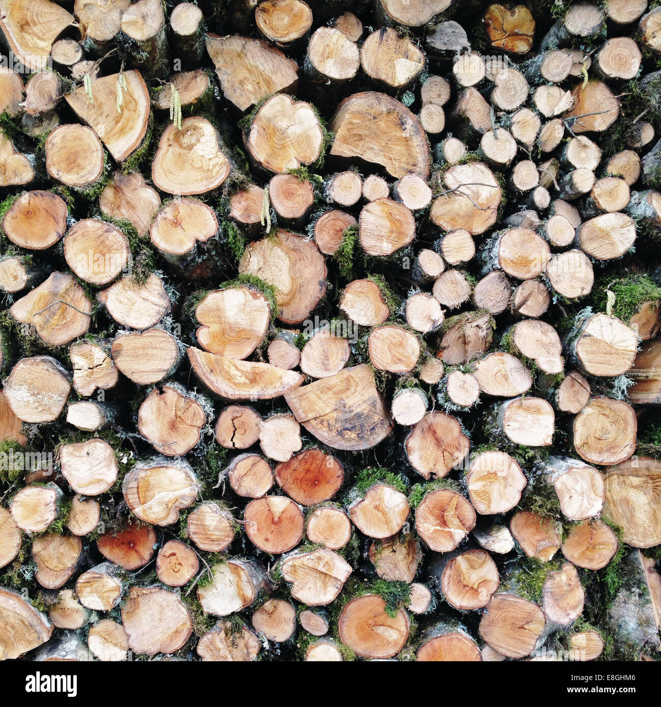 Sfondi Di Legna Da Ardere Immagini e Fotos Stock - Alamy