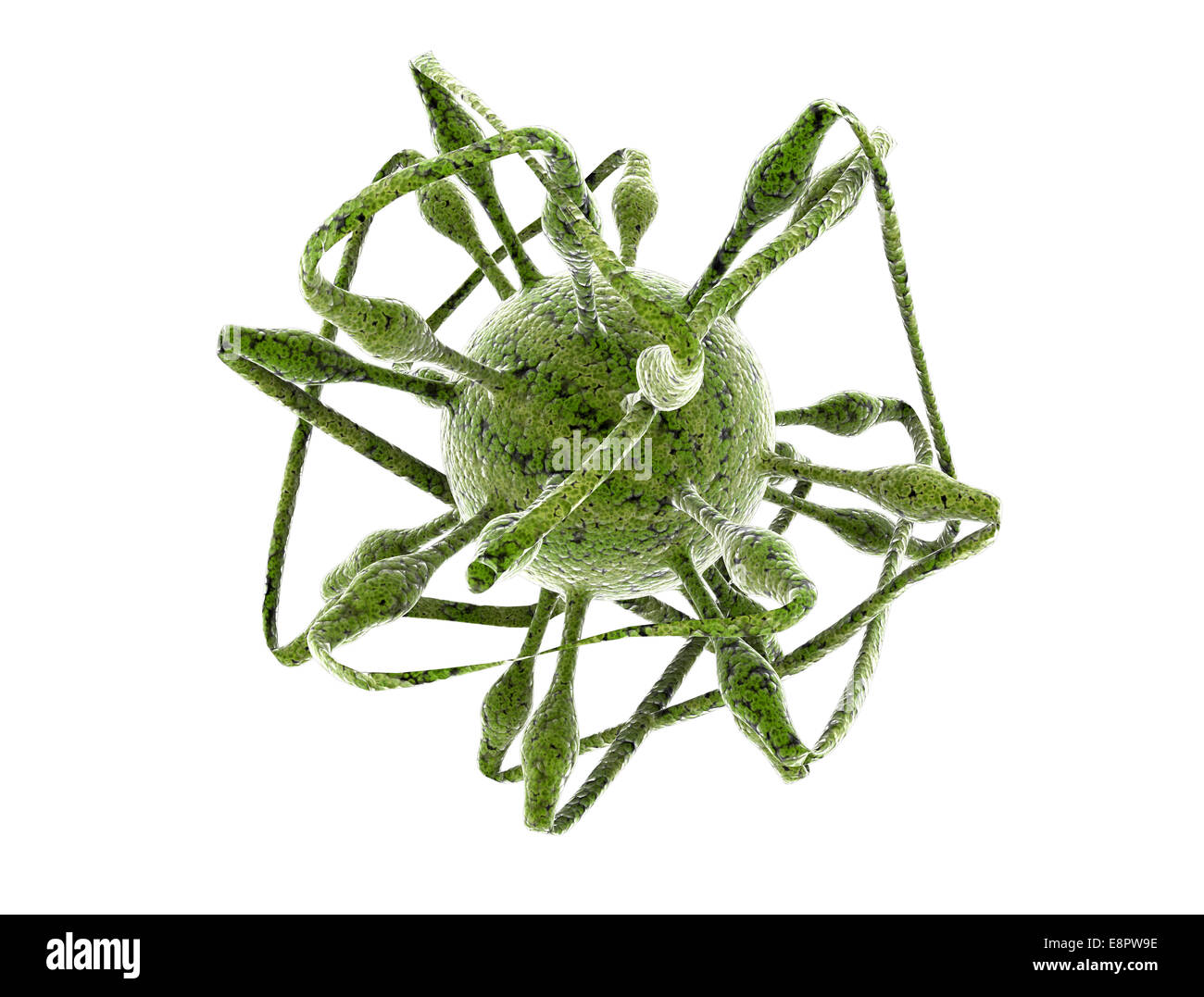 Cellula umana immagini e fotografie stock ad alta risoluzione - Alamy