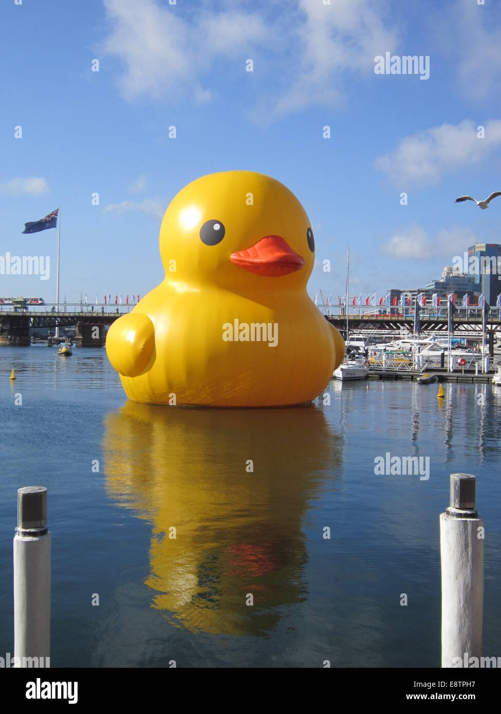 Giant rubber duck immagini e fotografie stock ad alta risoluzione - Alamy