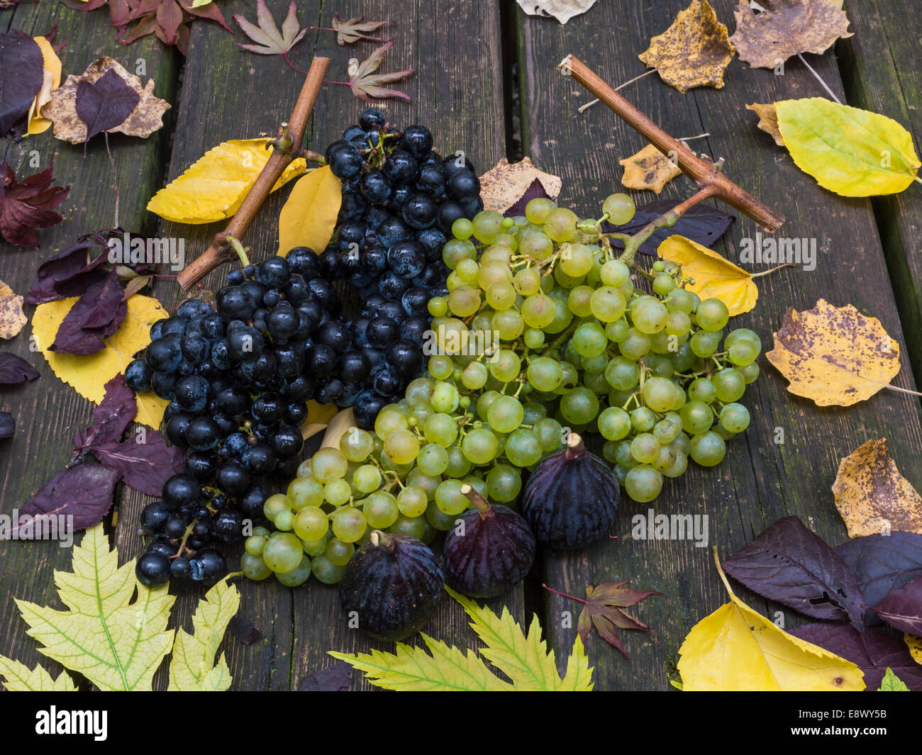 Frutti autunnali immagini e fotografie stock ad alta risoluzione - Alamy