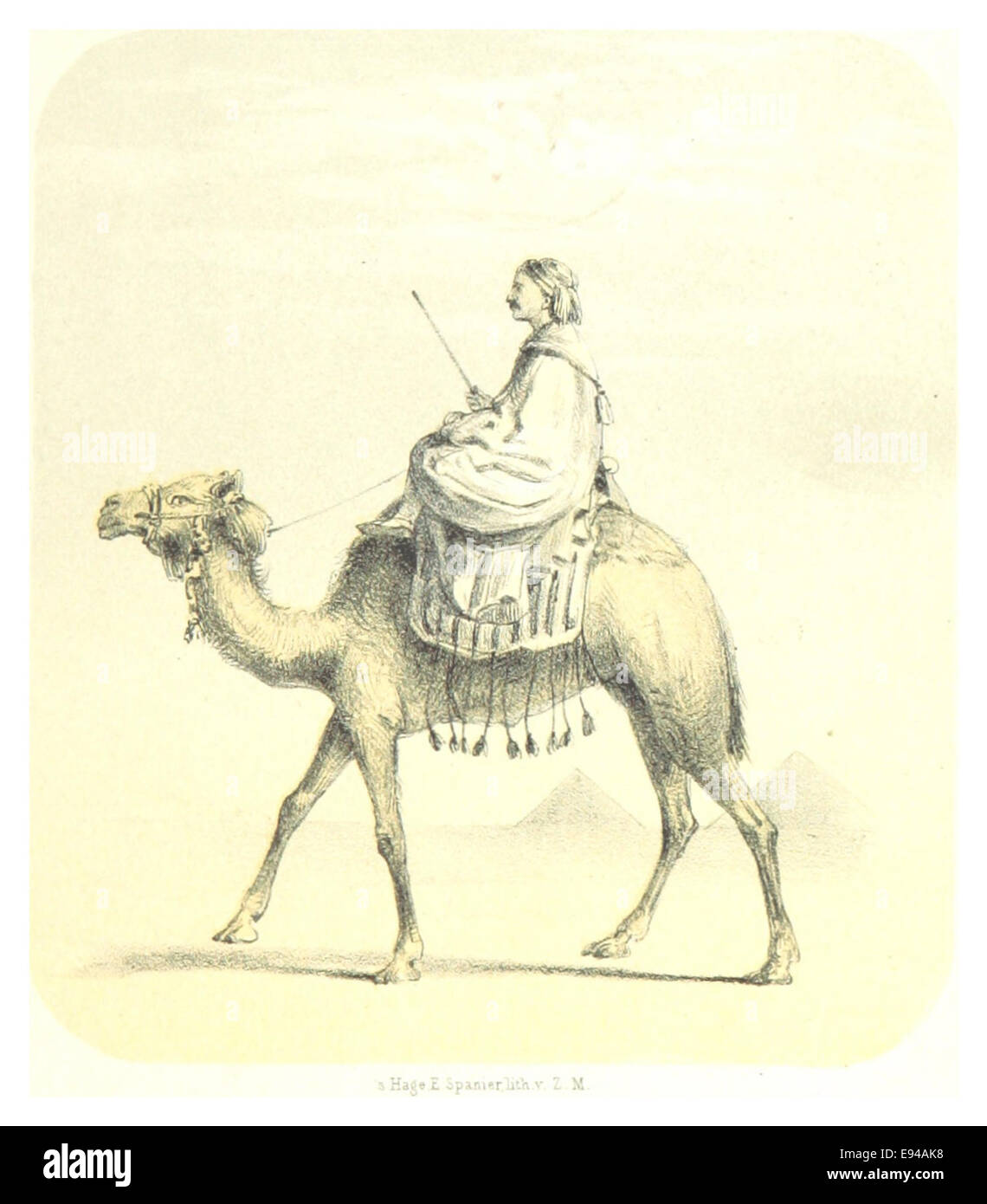 Conrad celtis o konrad celtes o protucio Immagini senza sfondo e Foto ...