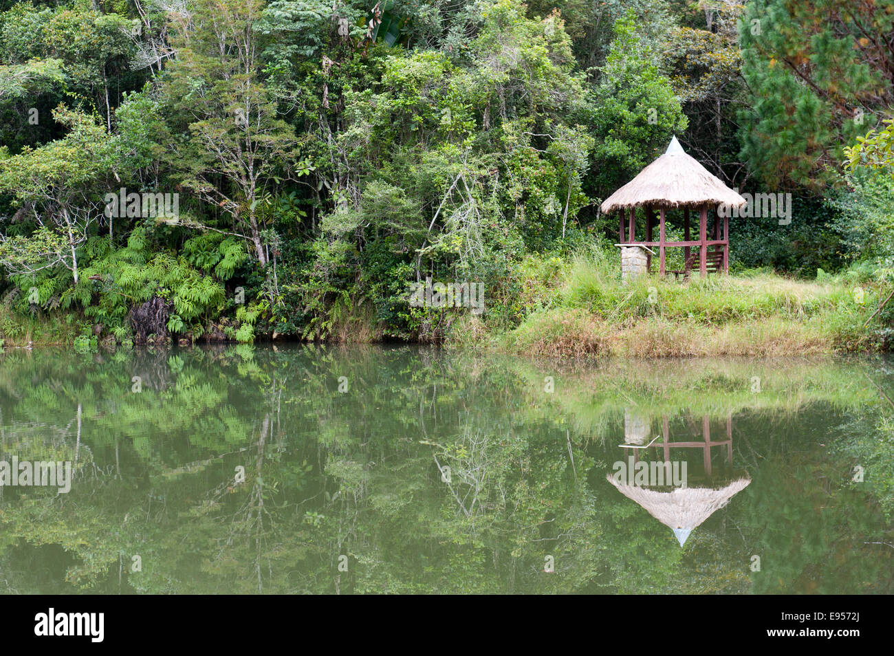 Cottage riflessa in un lago, giungla, foresta primaria, Andasibe ...