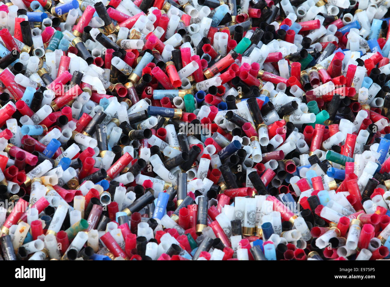 12 cartucce per fucili a canna liscia immagini e fotografie stock ad ...