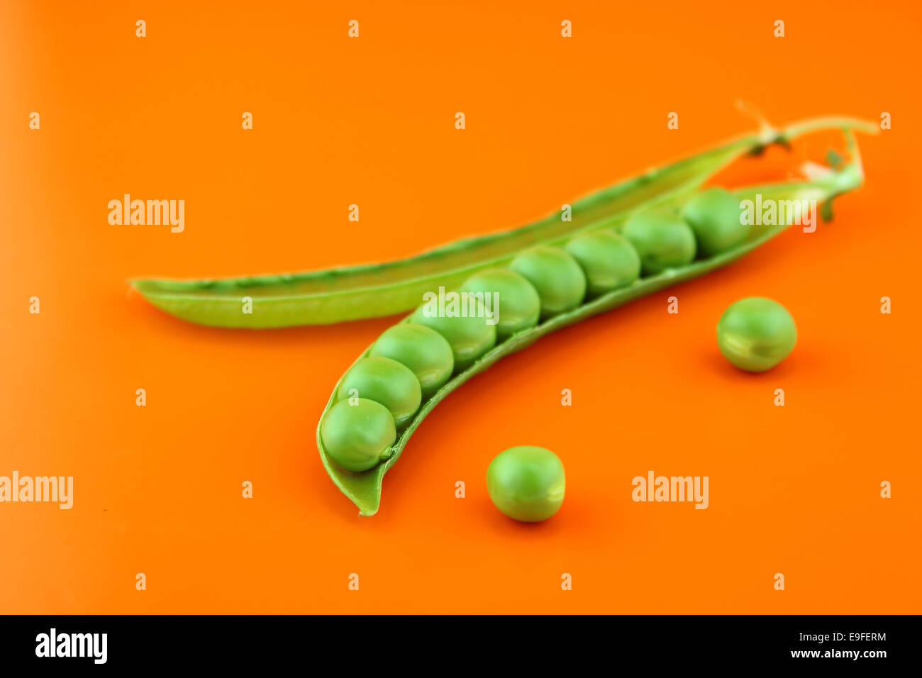 Pisello fresco immagini e fotografie stock ad alta risoluzione - Alamy