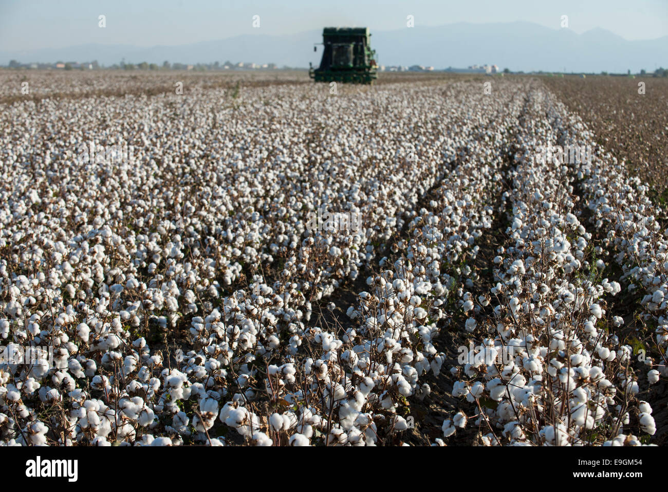 John deere cotton picker immagini e fotografie stock ad alta ...