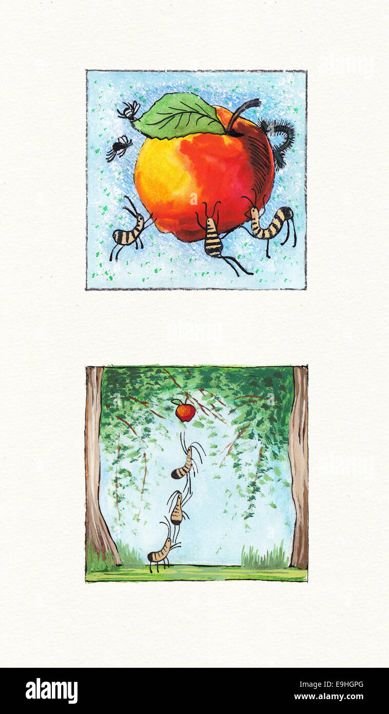 Insetti carini immagini e fotografie stock ad alta risoluzione - Pagina ...