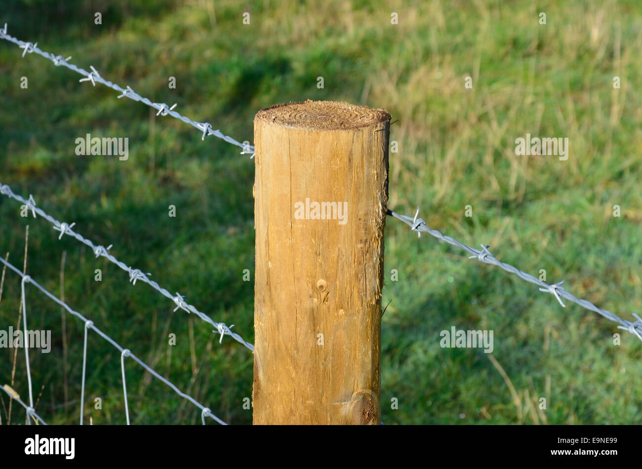 Nuova recinzione di filo spinato immagini e fotografie stock ad alta ...