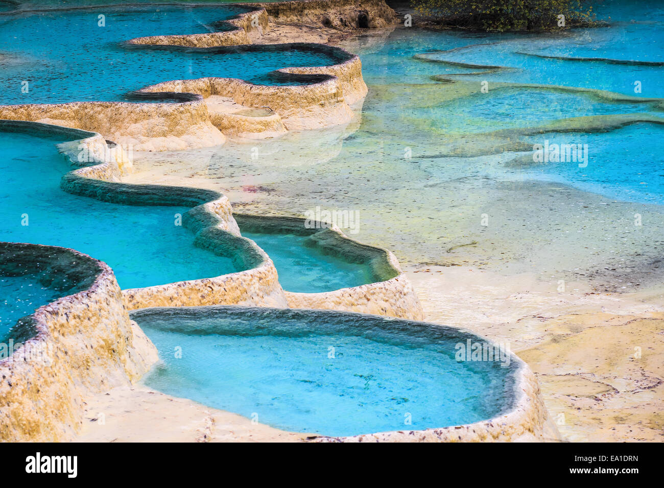 Stagni stagni stagni stagni acqua immagini e fotografie stock ad alta ...