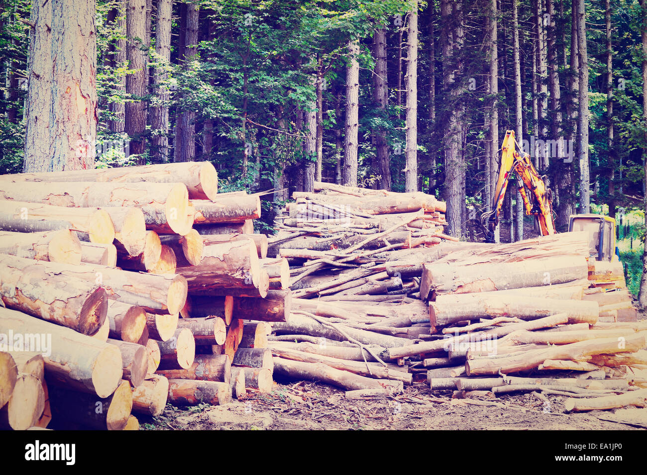 Macchina per la legna da ardere immagini e fotografie stock ad alta ...