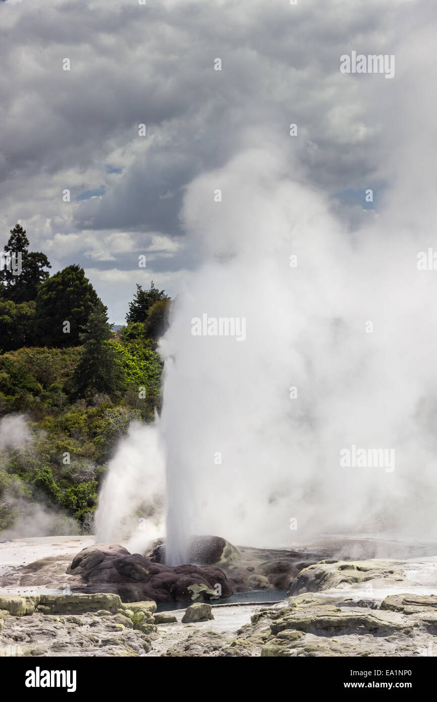 Geyser termico immagini e fotografie stock ad alta risoluzione - Alamy