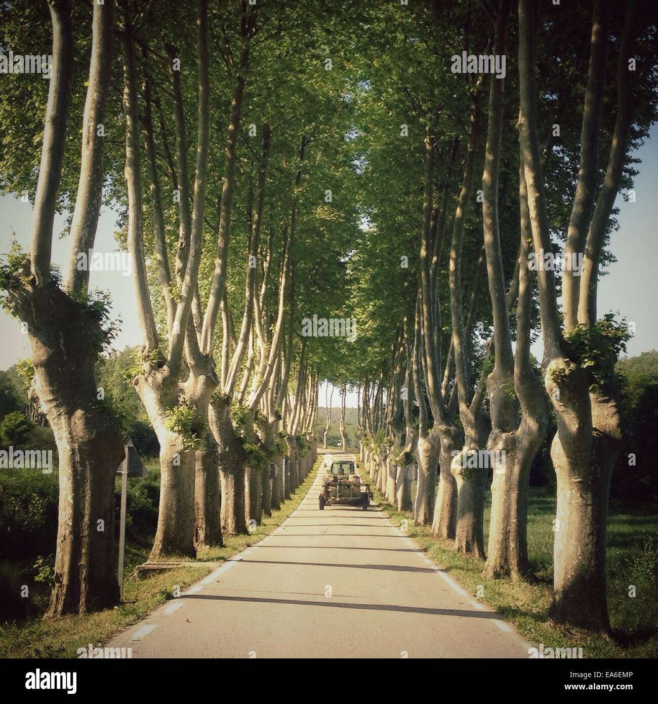 Trattore che guida lungo la strada immagini e fotografie stock ad alta ...