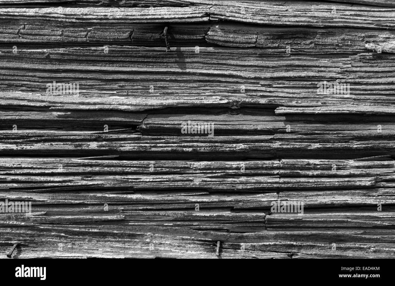 Legname marcio o legno Foto e Immagini Stock in Bianco e Nero - Alamy