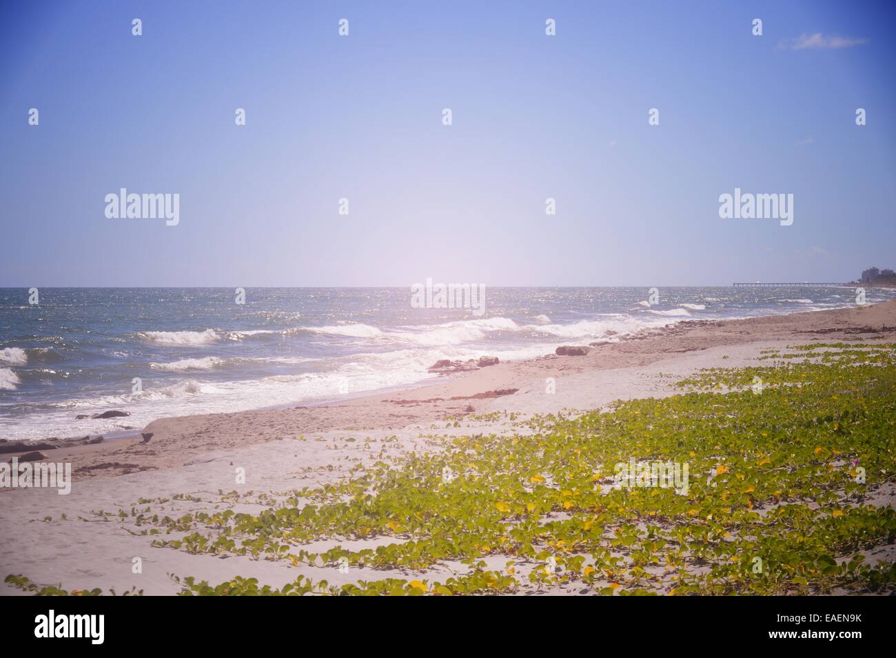 Estate mare immagini e fotografie stock ad alta risoluzione - Alamy
