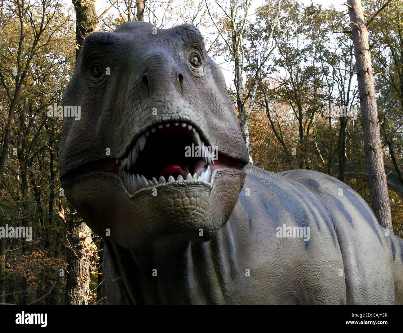 Head big t rex dinosaur immagini e fotografie stock ad alta risoluzione ...