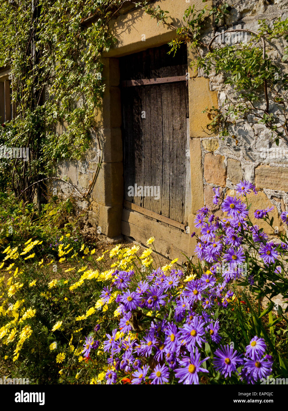 Circondato da pianta rampicante immagini e fotografie stock ad alta ...
