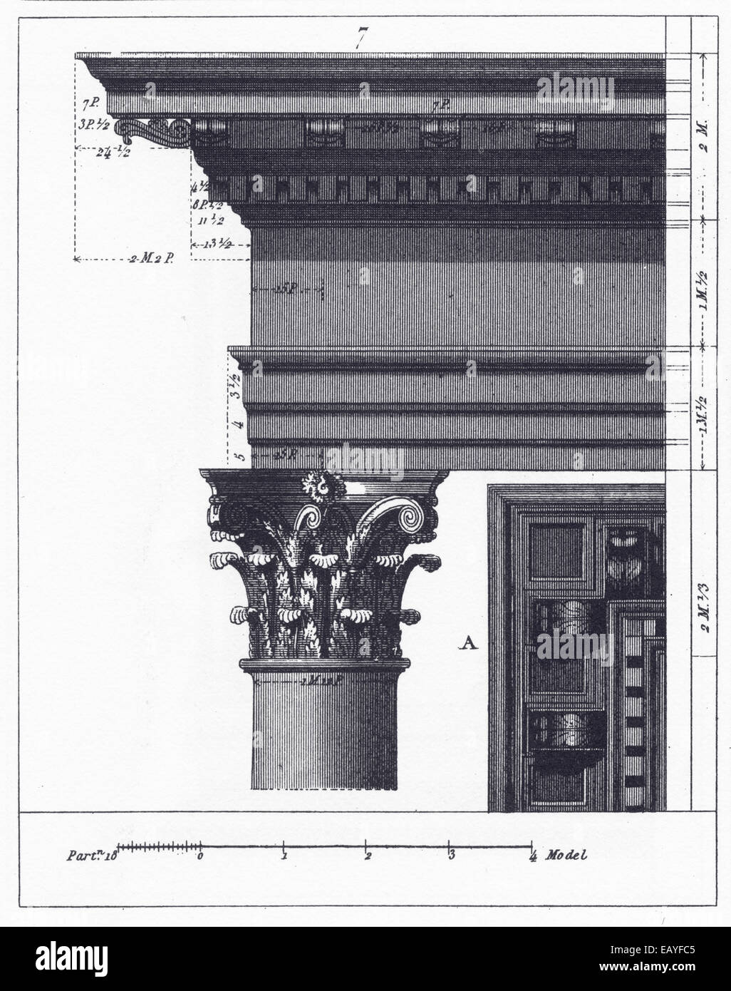 Capitello corinzio disegno immagini e fotografie stock ad alta ...