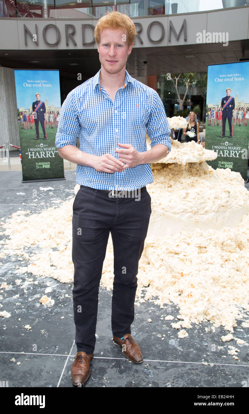 Matthew Hicks e concorrenti pongono dopo FOX voglio sposare 'Harry ...