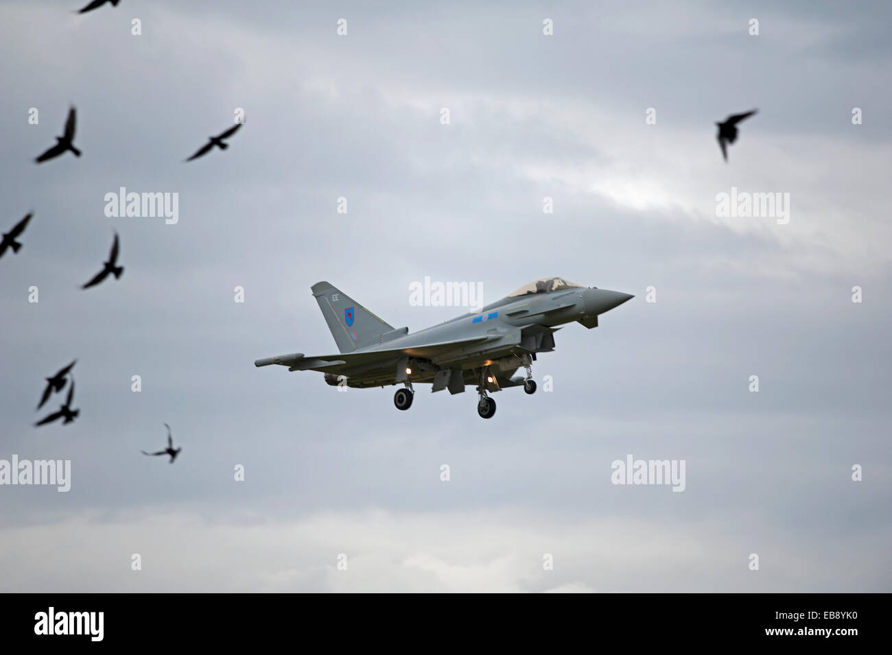Flaperon fuoribordo immagini e fotografie stock ad alta risoluzione - Alamy