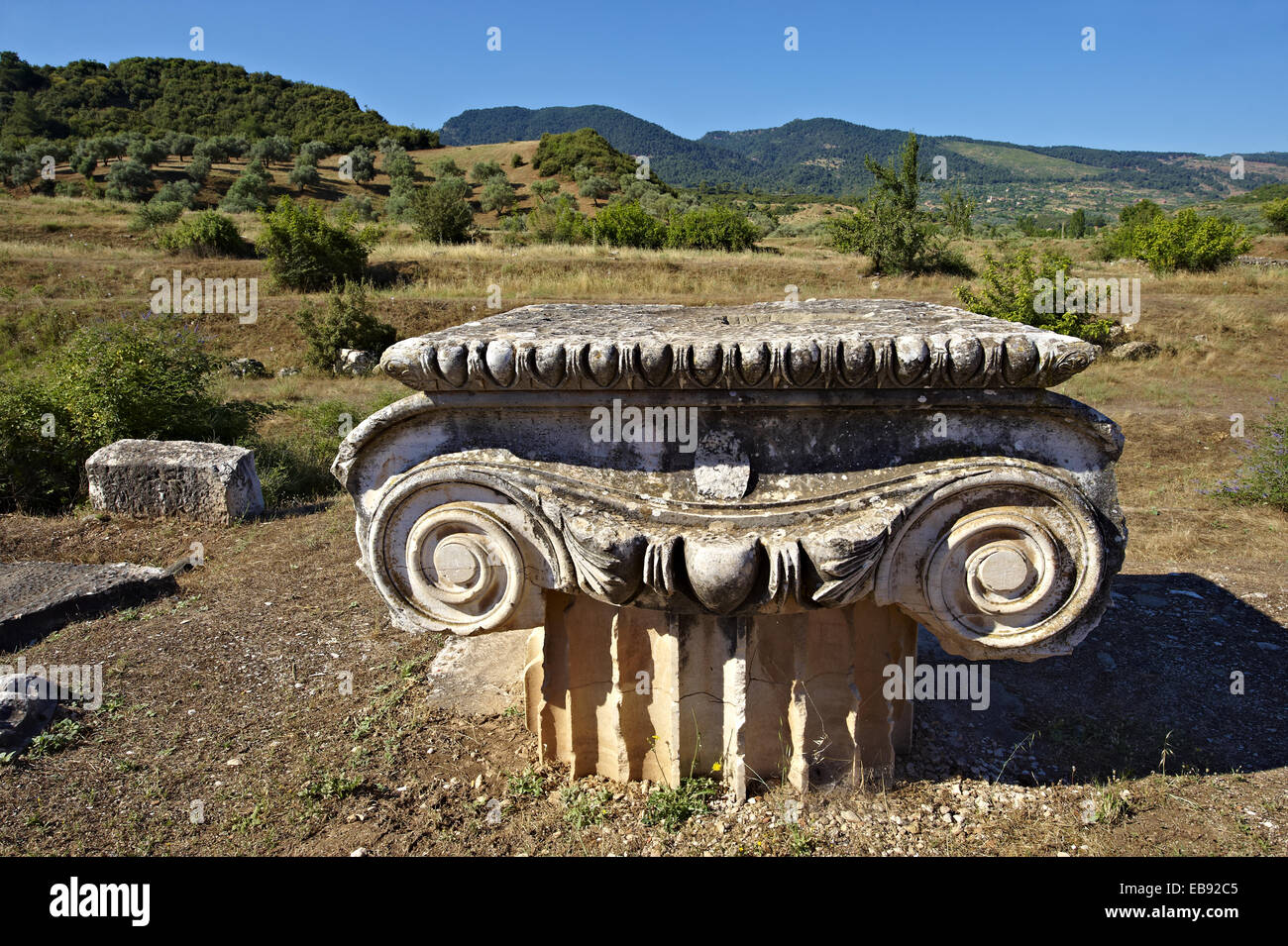 Tempio greco ionico immagini e fotografie stock ad alta risoluzione - Alamy