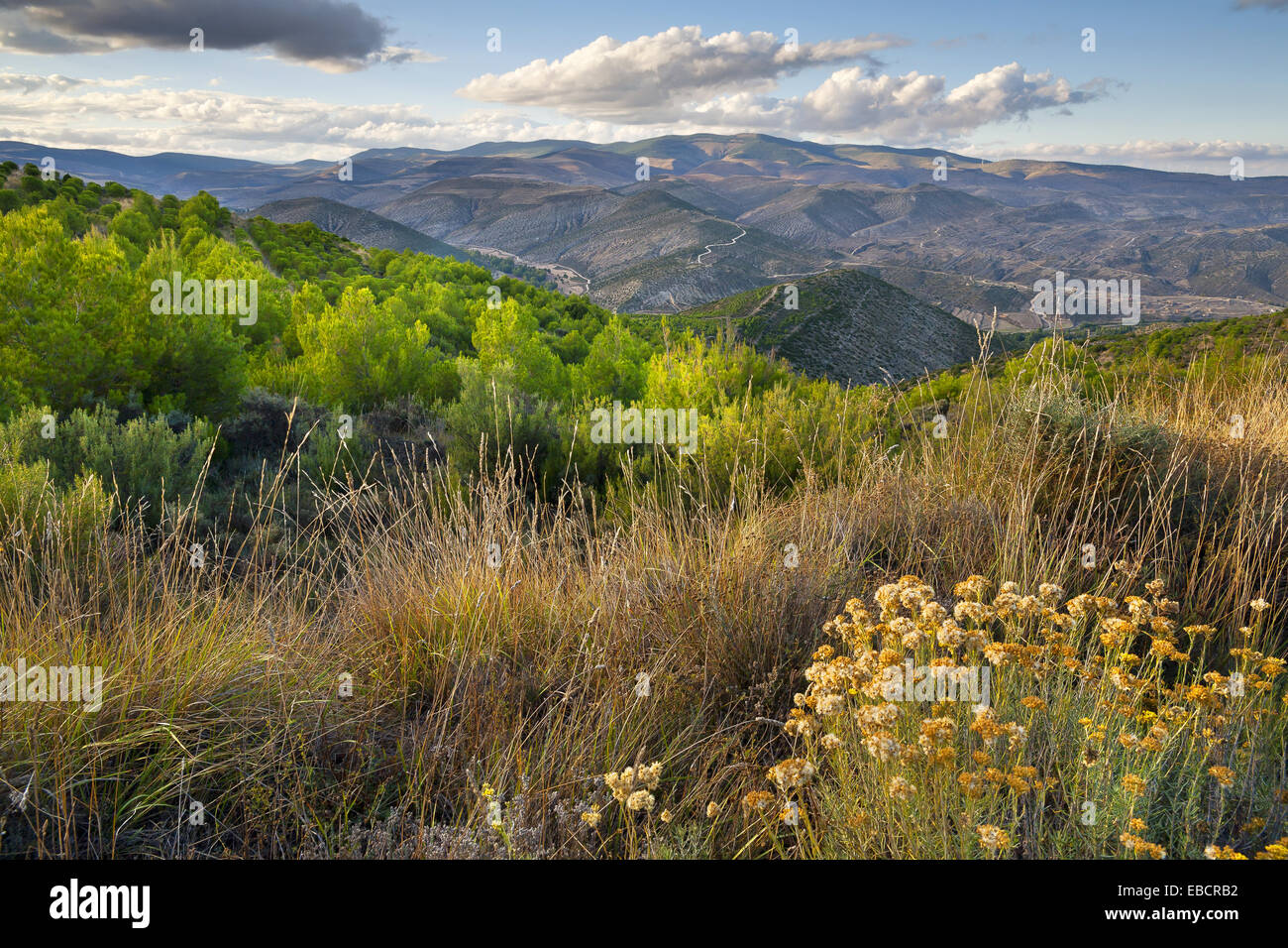 Sistema ibérico immagini e fotografie stock ad alta risoluzione - Alamy
