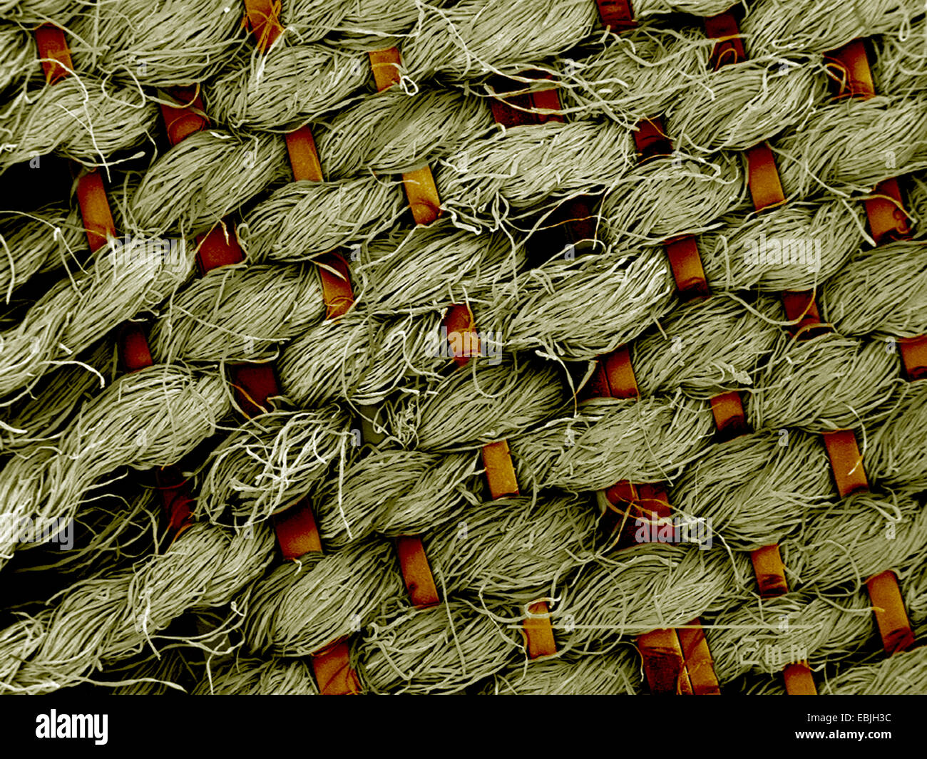 Tecnica del crine di cavallo immagini e fotografie stock ad alta ...