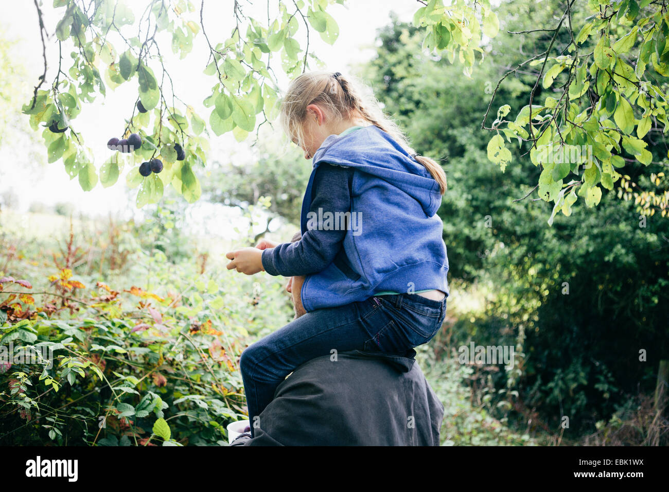Trasporto sulle spalle immagini e fotografie stock ad alta risoluzione ...