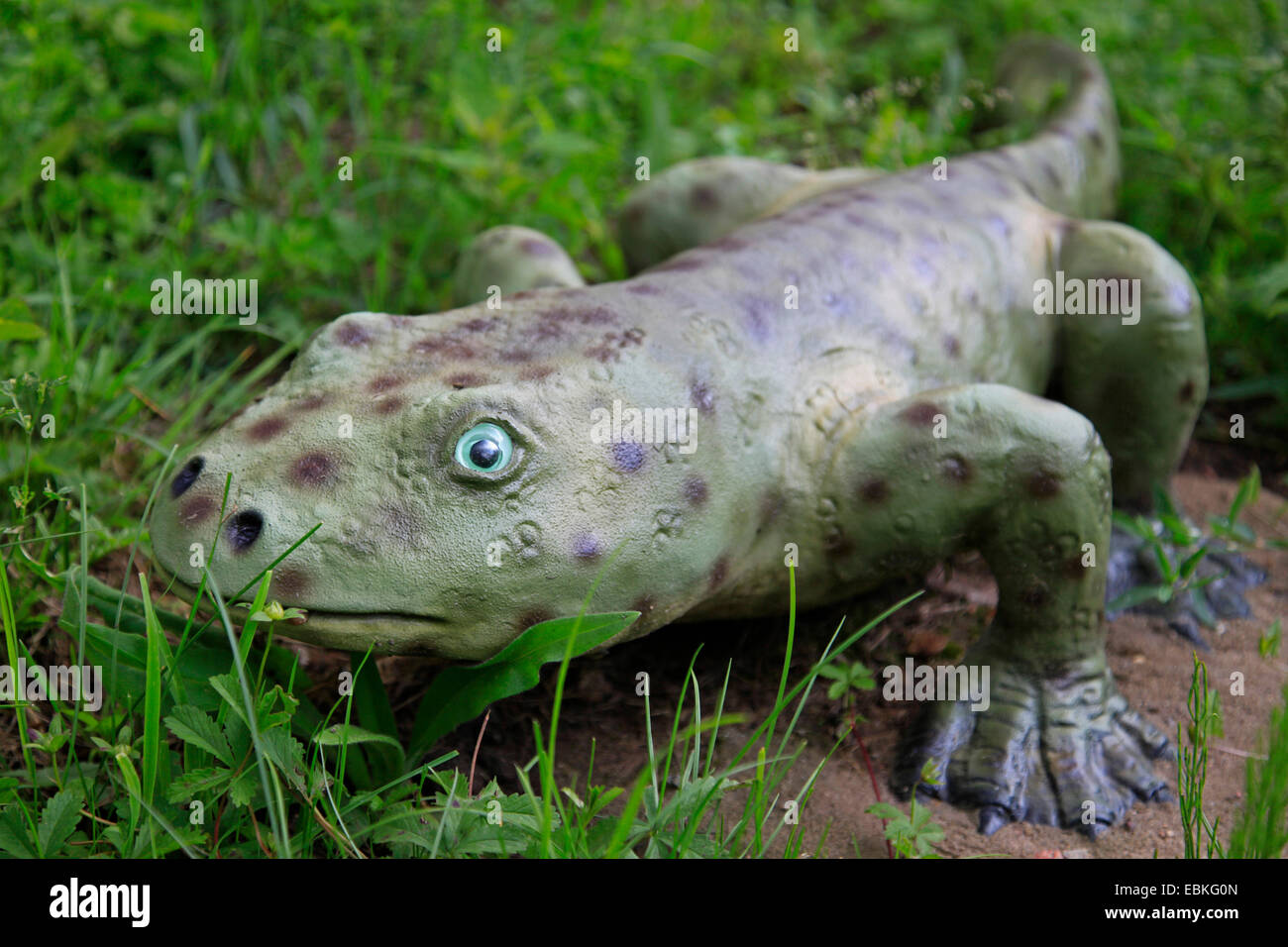 Ittiostega ichthyostega immagini e fotografie stock ad alta risoluzione ...