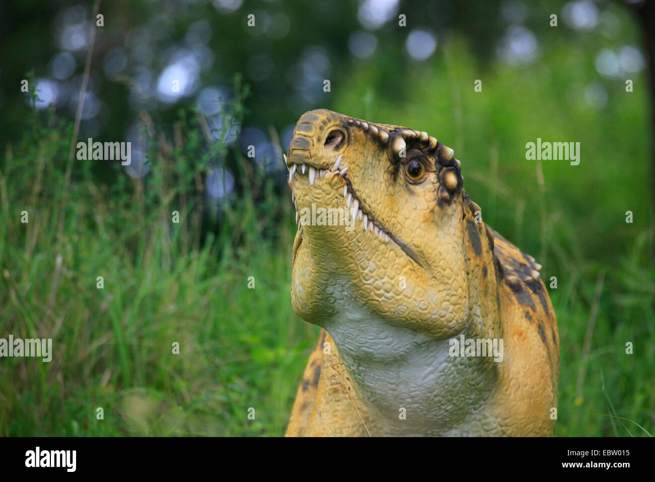 Ornithosuchus ornithosuchus immagini e fotografie stock ad alta ...