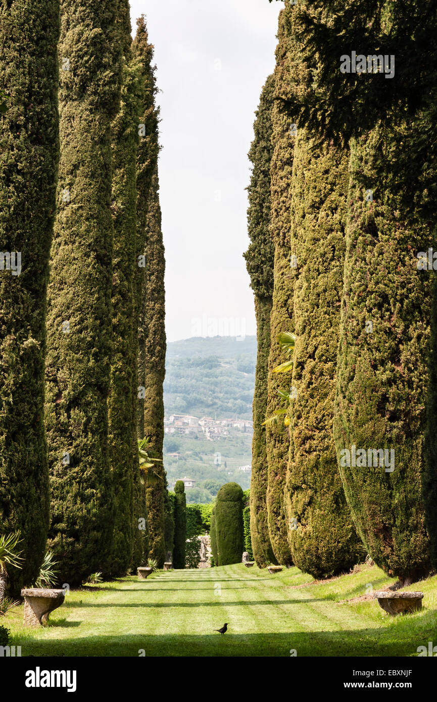 Negrar di valpolicella immagini e fotografie stock ad alta risoluzione ...