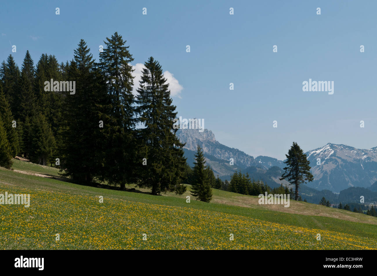 Foreste boscose colline immagini e fotografie stock ad alta risoluzione ...