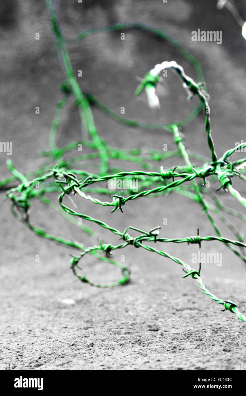 Forme di filo spinato immagini e fotografie stock ad alta risoluzione ...