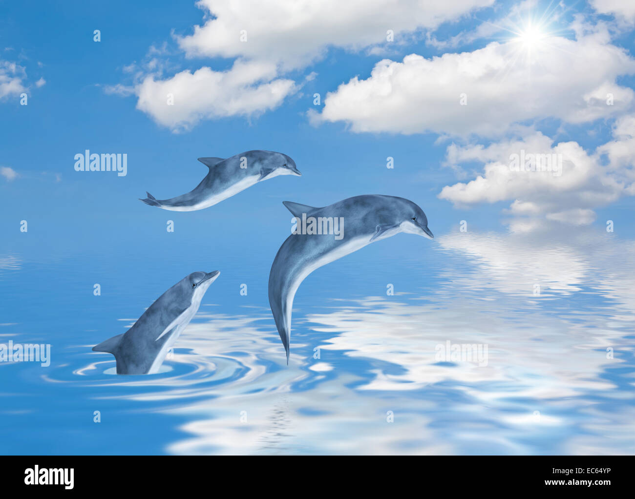 Delfini colorati immagini e fotografie stock ad alta risoluzione - Alamy