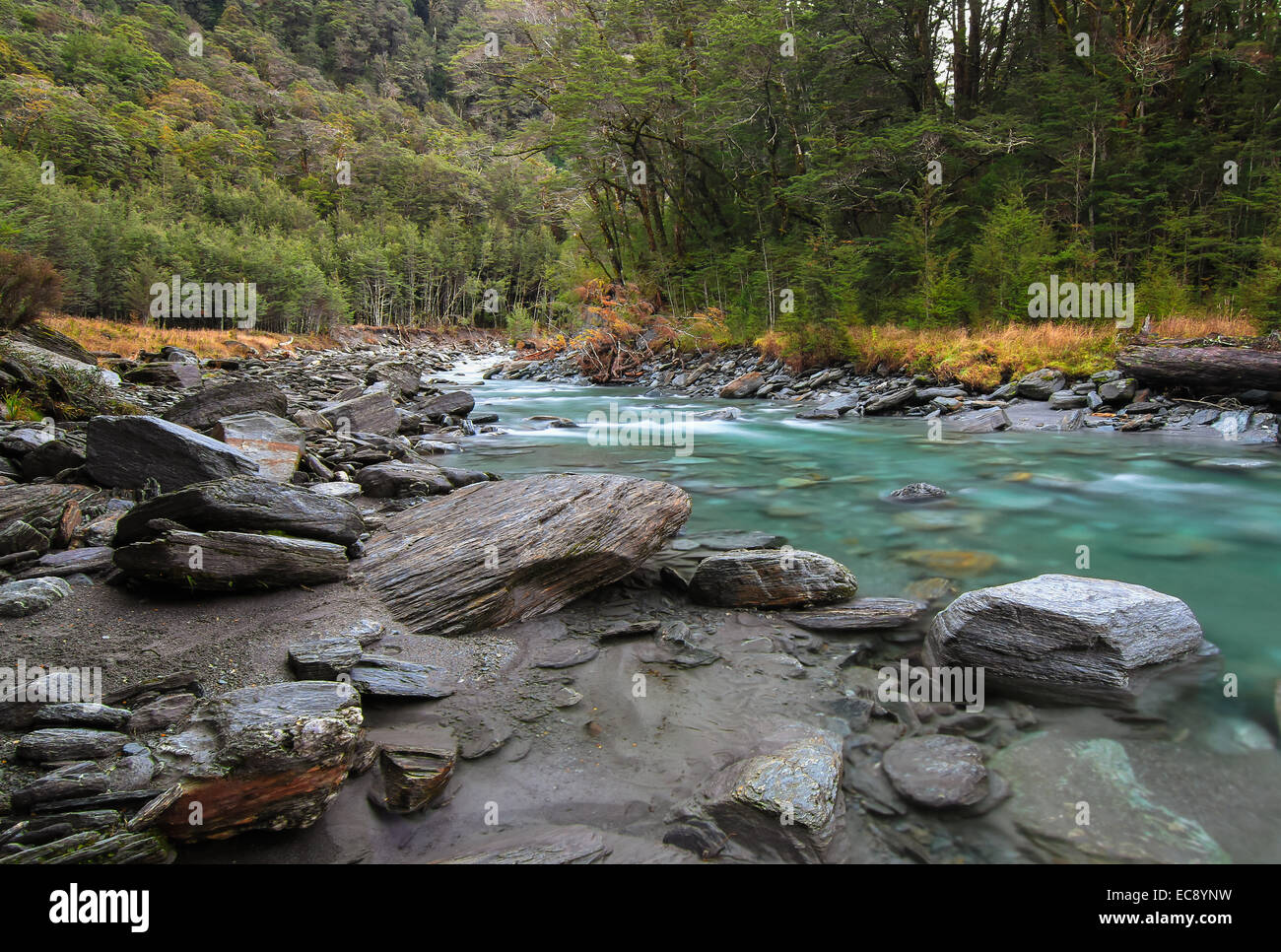 Fiume matukituki immagini e fotografie stock ad alta risoluzione - Alamy