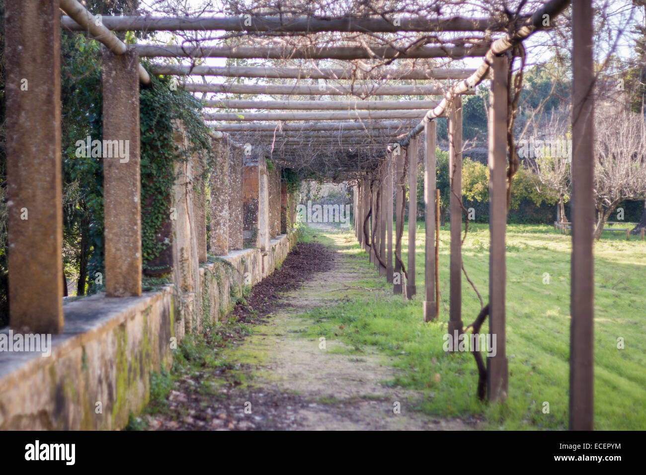 Il pergolato del giardino immagini e fotografie stock ad alta ...