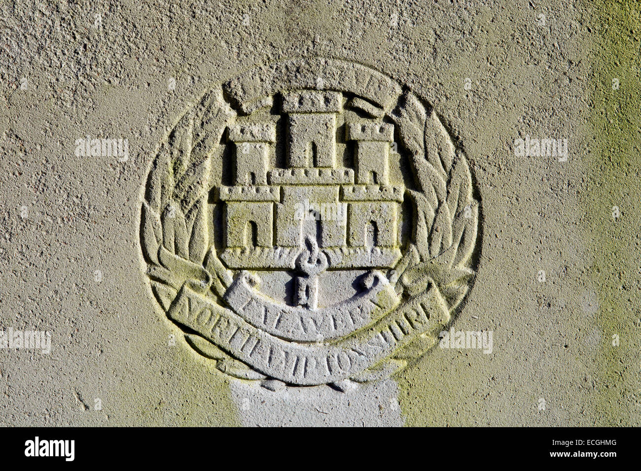 Emblema della cresta del distintivo del reggimento immagini e ...