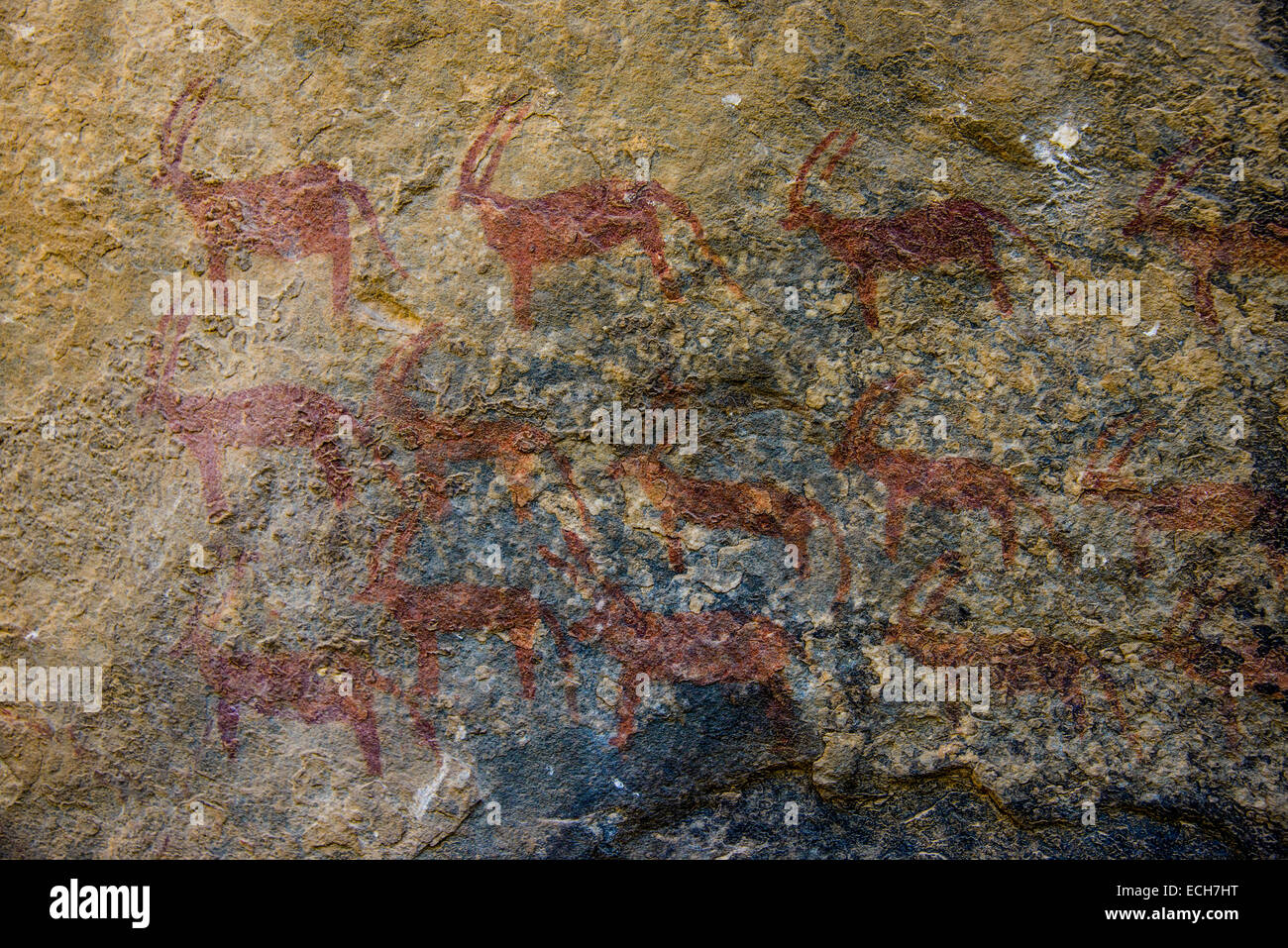 Pinturas rupestres animales immagini e fotografie stock ad alta ...