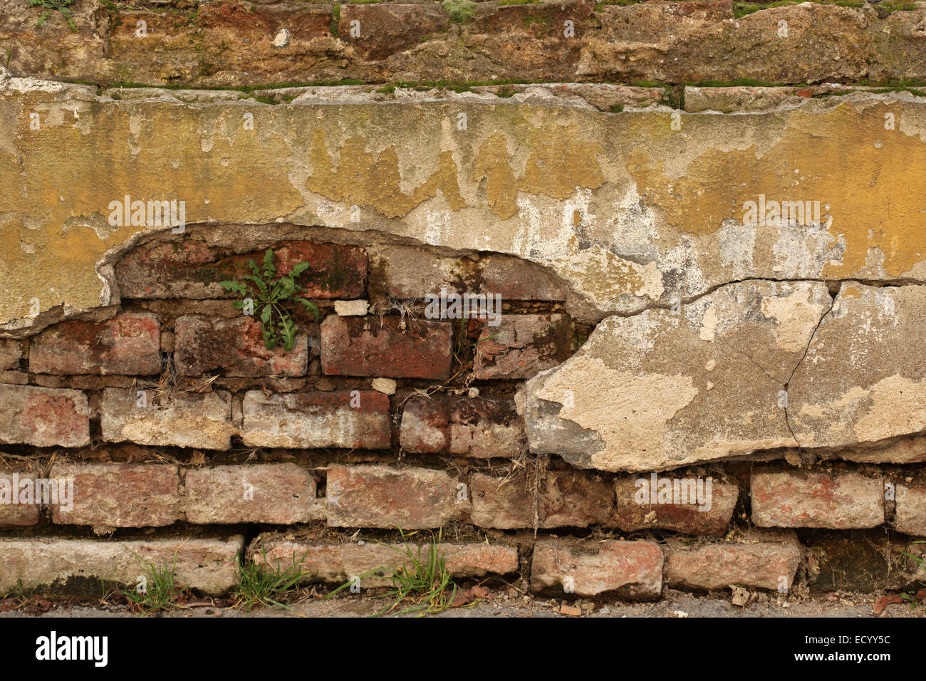Intonaco di mattoni muro vecchio immagini e fotografie stock ad alta ...