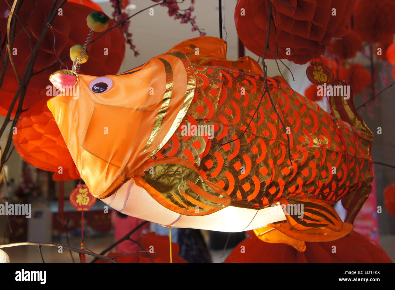 Fish lantern immagini e fotografie stock ad alta risoluzione - Alamy