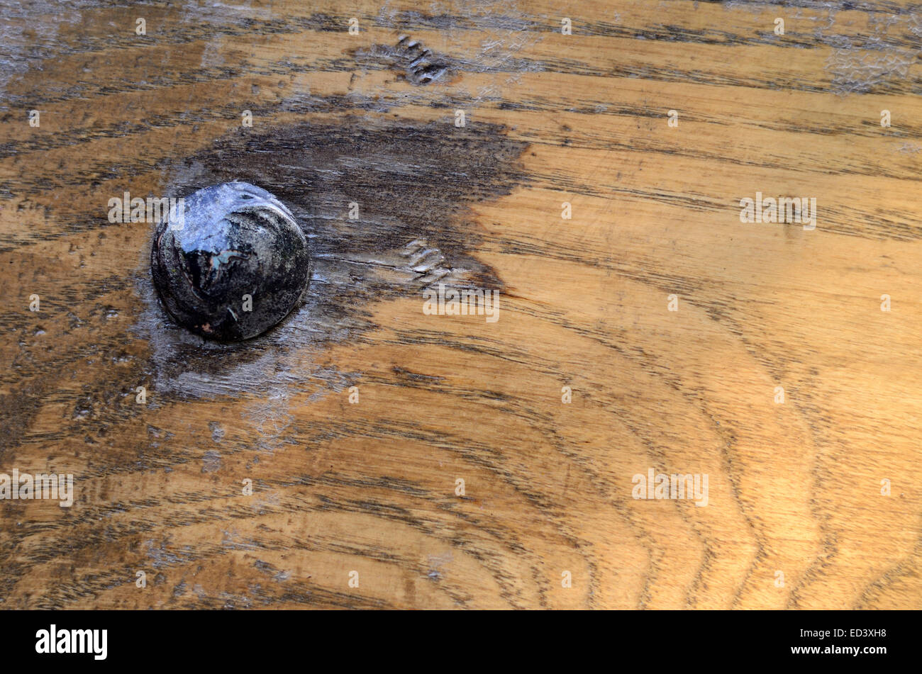 Grunge vecchio parquet in legno di ciliegio texture (legno, texture ...