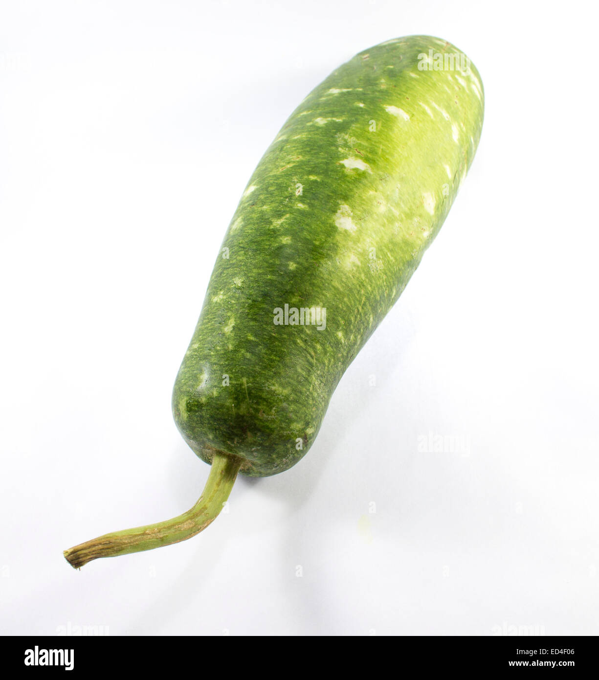 Pianta di zucca verde bottiglia immagini e fotografie stock ad alta ...