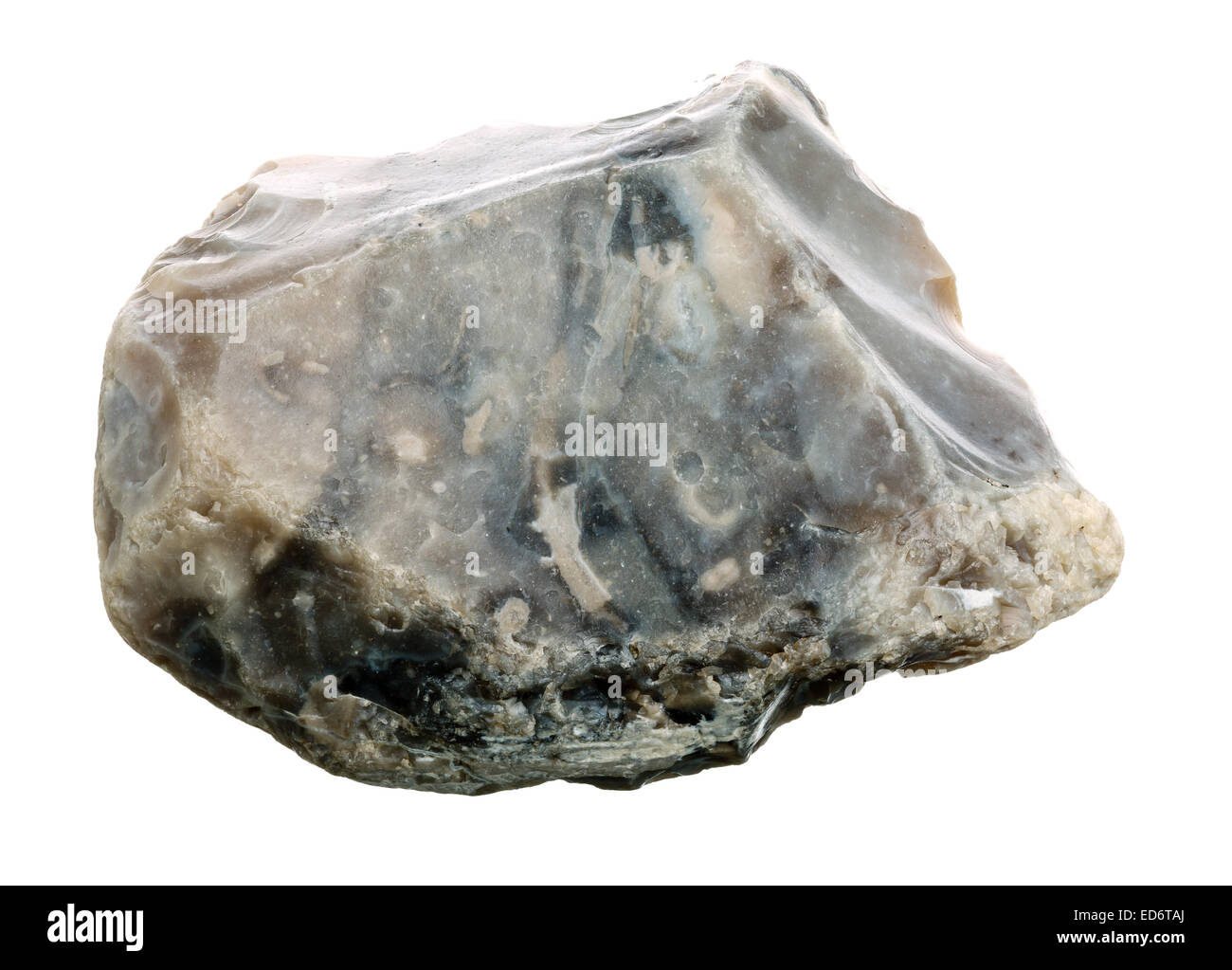 Selce nera Immagini senza sfondo e Foto Stock ritagliate - Alamy