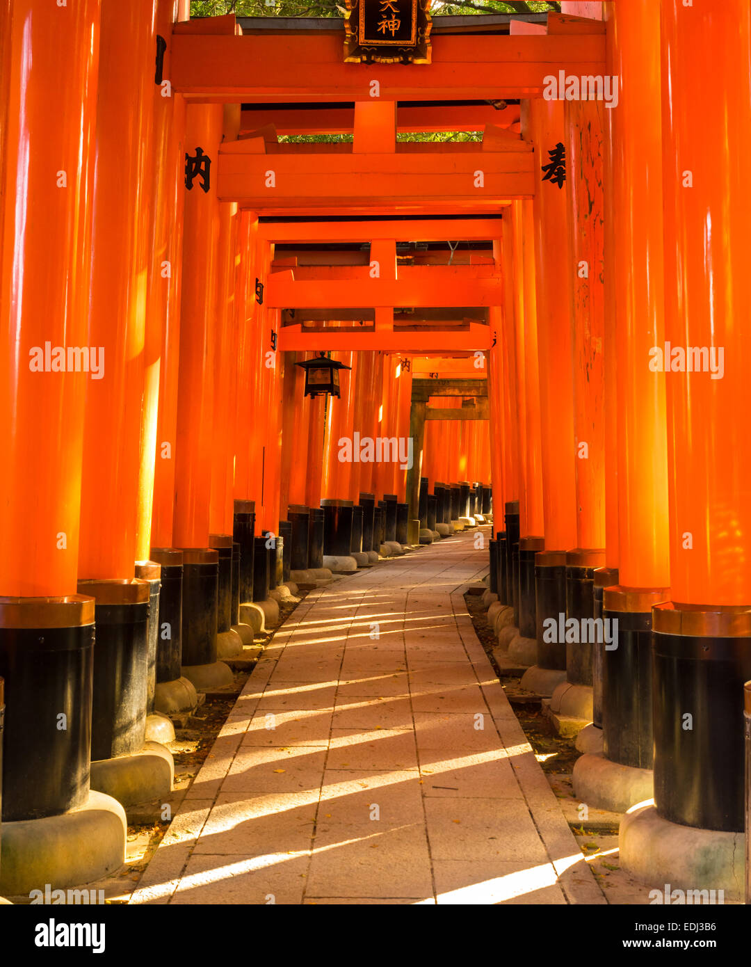 Tempio di fushimi inari taisha immagini e fotografie stock ad alta ...