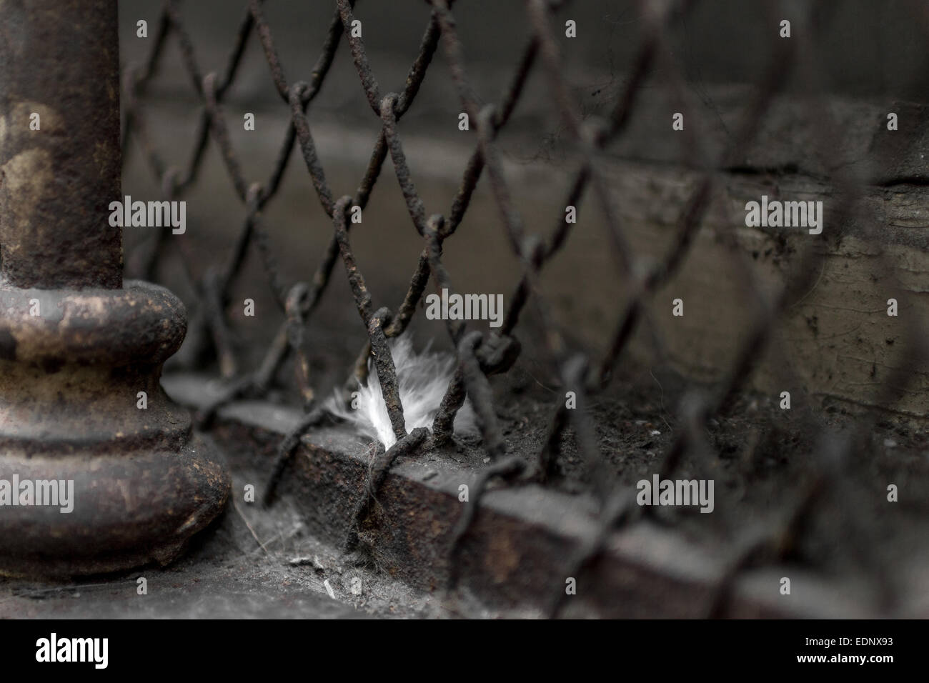 Simbolo di purezza immagini e fotografie stock ad alta risoluzione - Alamy