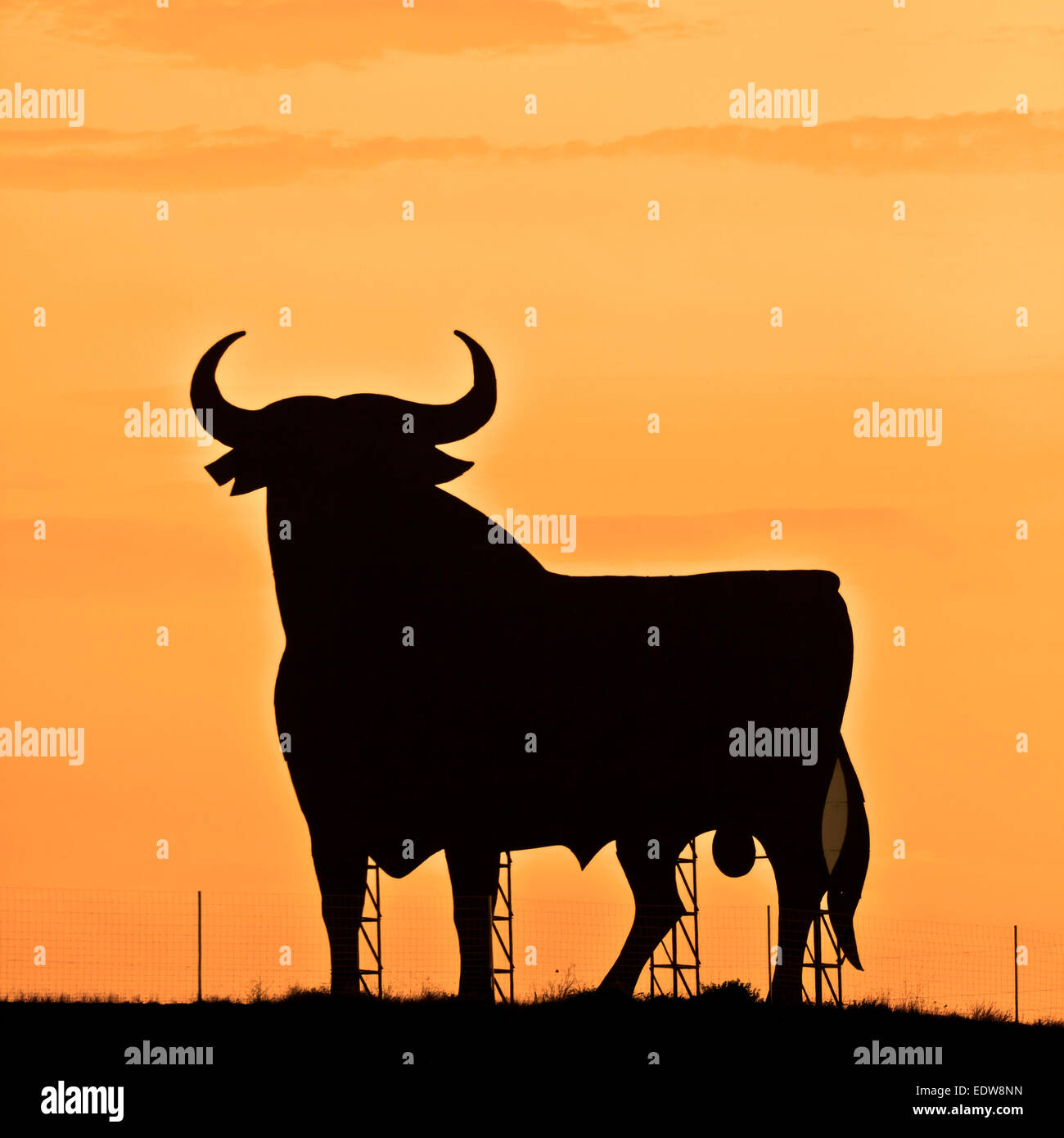 Simbolo del toro immagini e fotografie stock ad alta risoluzione - Alamy