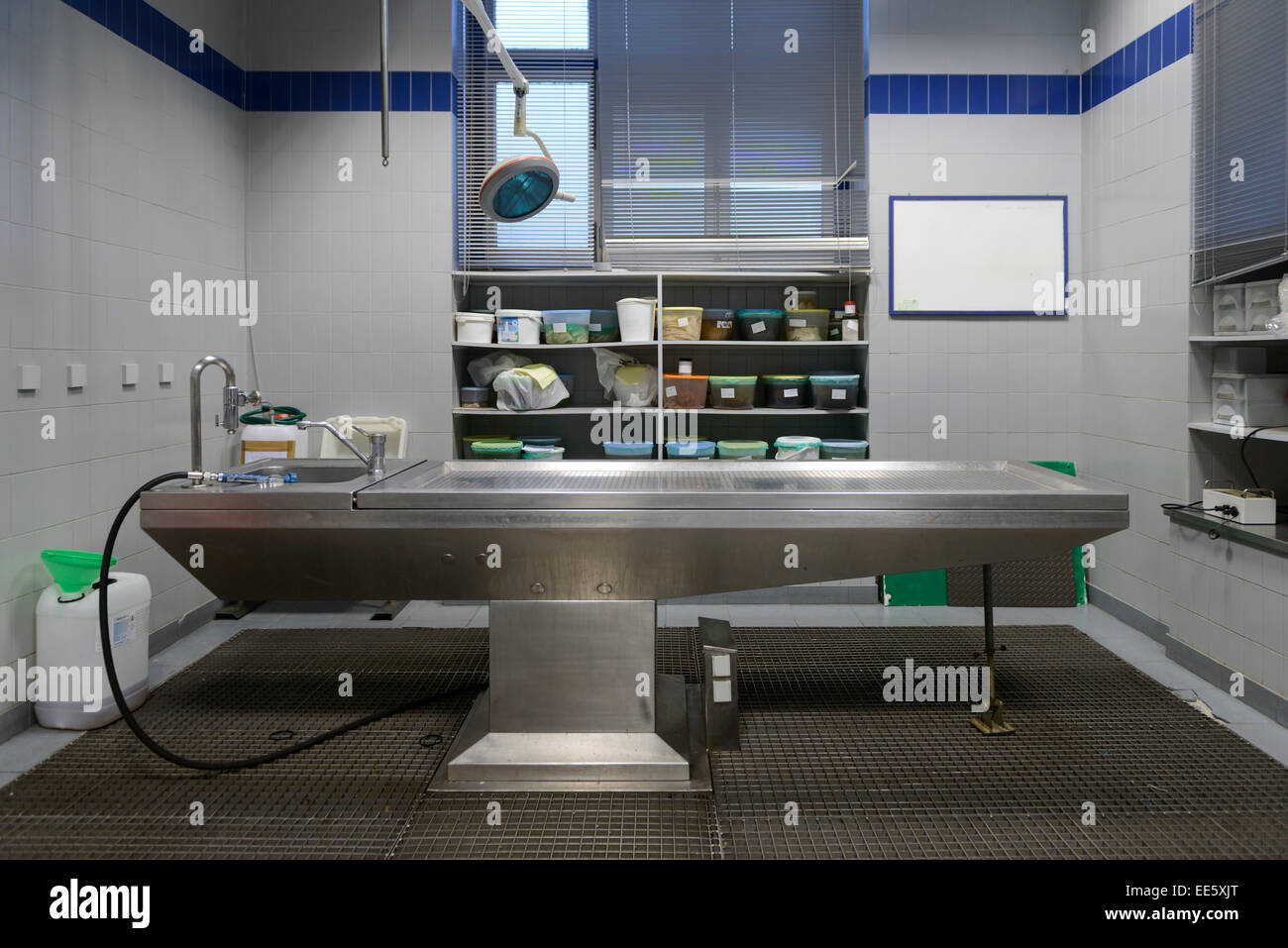 Sala di autopsia immagini e fotografie stock ad alta risoluzione - Alamy
