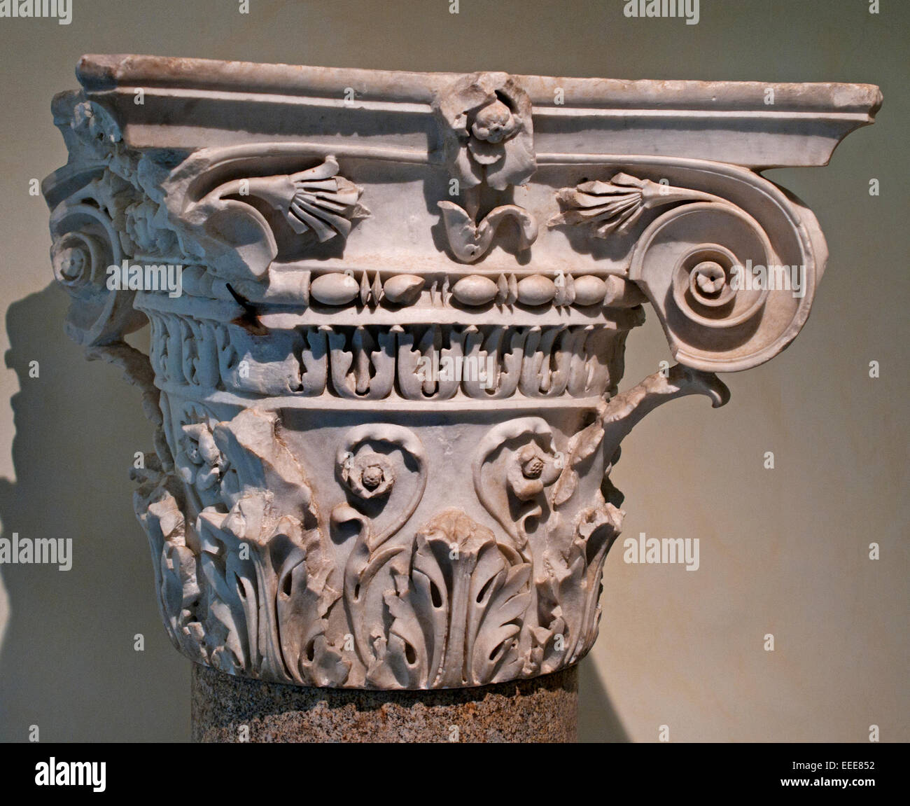 Colonna Impegnata Vs Lesena