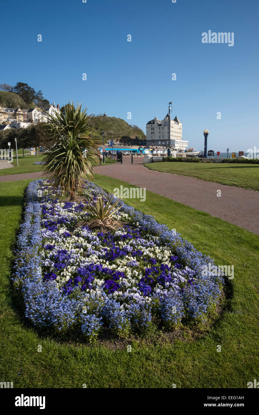 Llandudno queen victoria immagini e fotografie stock ad alta ...